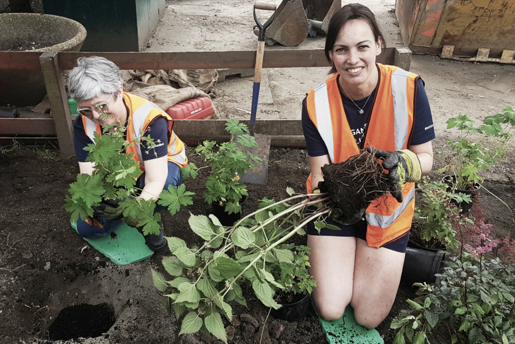 Green Skills With Gardening | Groundwork Learning Centre